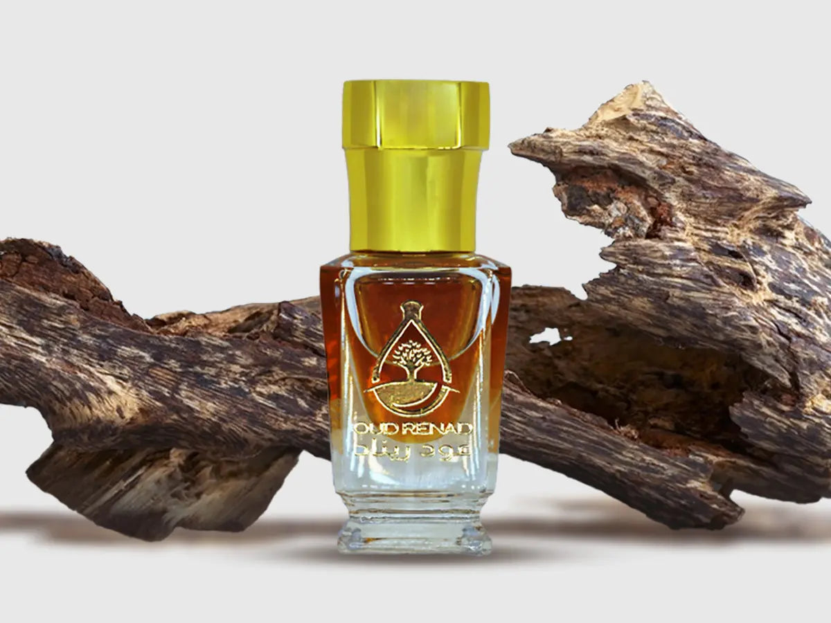 What Is Oud? The Unique, Luxurious, and Natural Arabic Fragrance – Oud ...